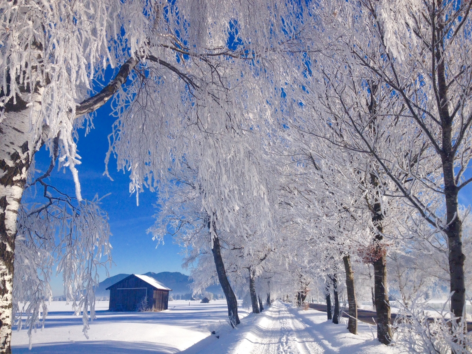 Աշոցքում և նրան հարակից բնակավայրերում սպասվում է սաստիկ սառնամանիք ...